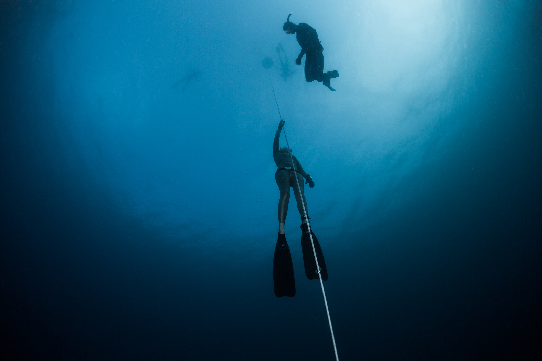 10 Essential Diving Rules for Scuba and Freediving