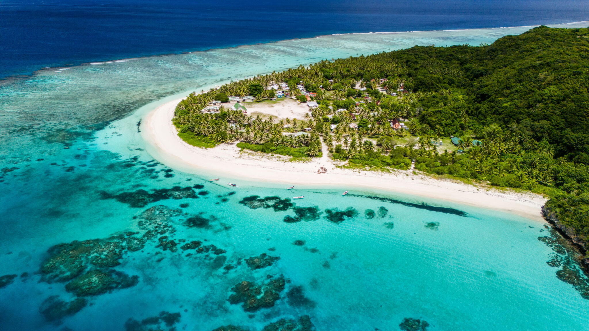 Fiji Diving: A DiveAssure Travel Guide