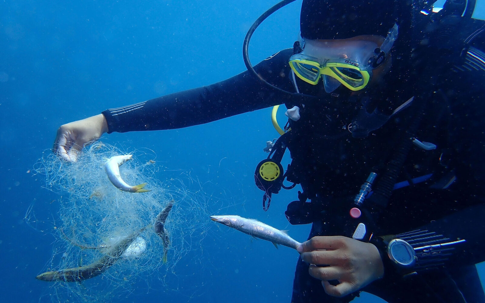 Conservation & Environment | Blogbook